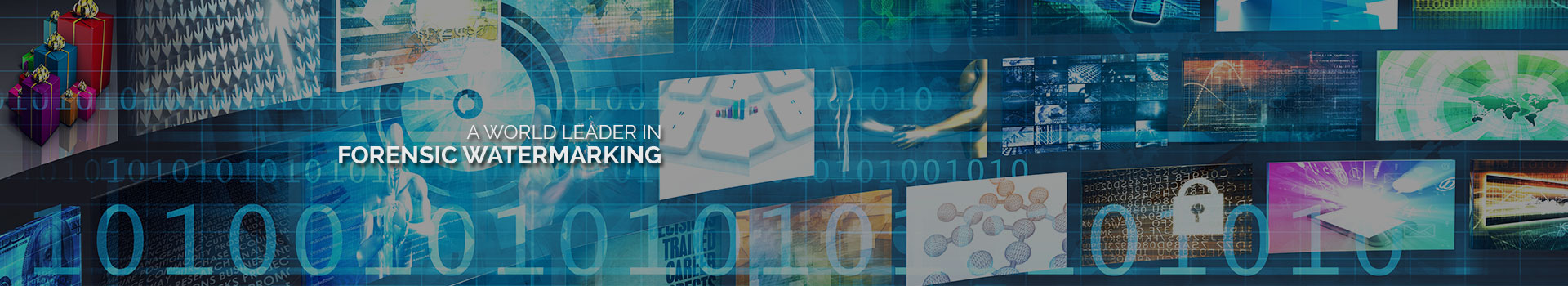 DPS: Smart Marks Technology - Oculus Inc.